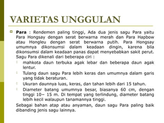 MORFOLOGI, STRUKTUR DAN KOMPOSISI SAGU.pptx