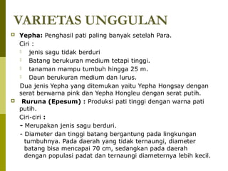 MORFOLOGI, STRUKTUR DAN KOMPOSISI SAGU.pptx