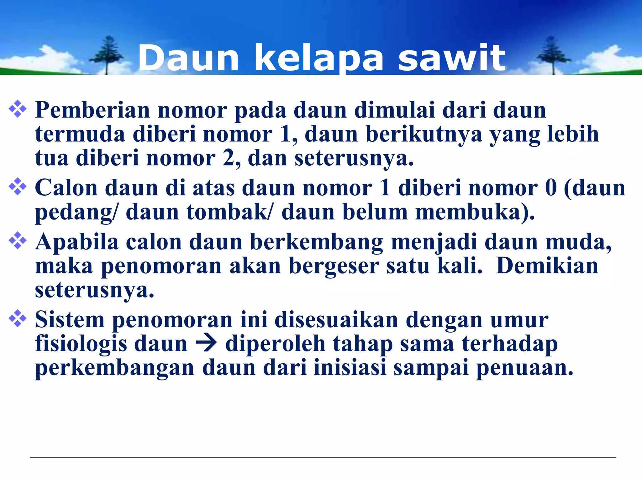 Morfologi Tanaman.pdf