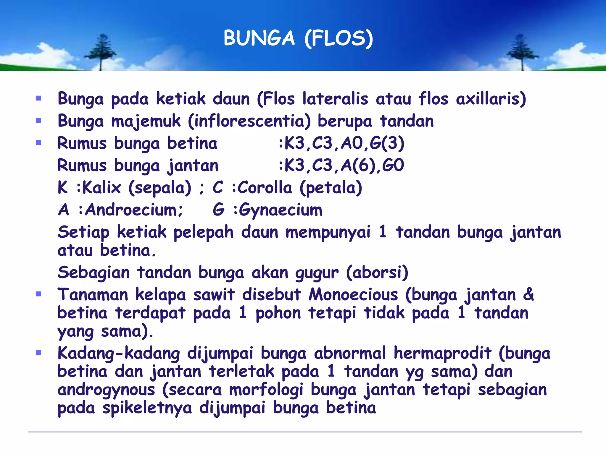 Morfologi Tanaman.pdf