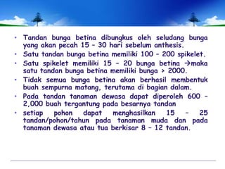 Morfologi Tanaman.pdf