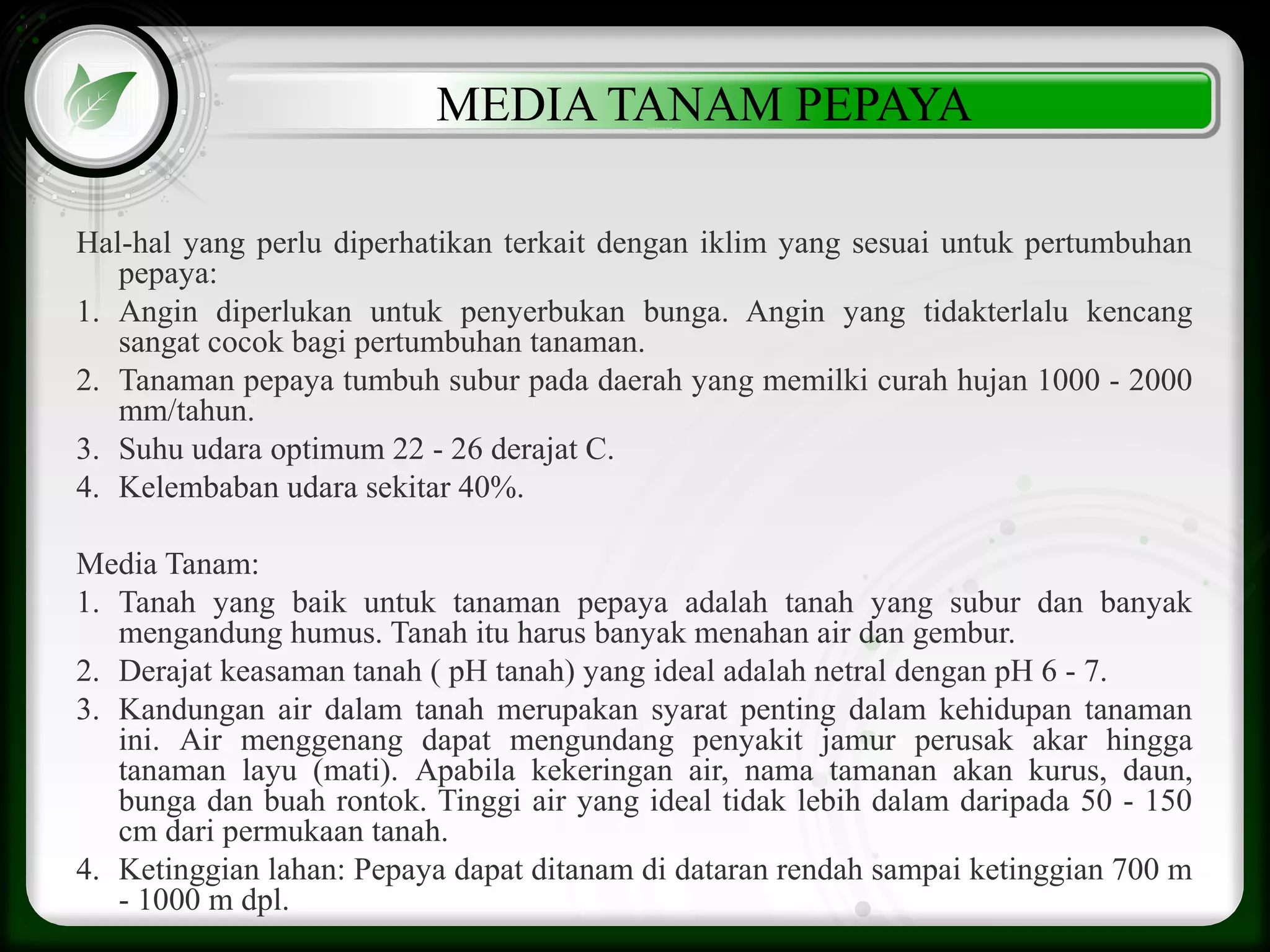 Morfologi tanaman pepaya ppt | PPT