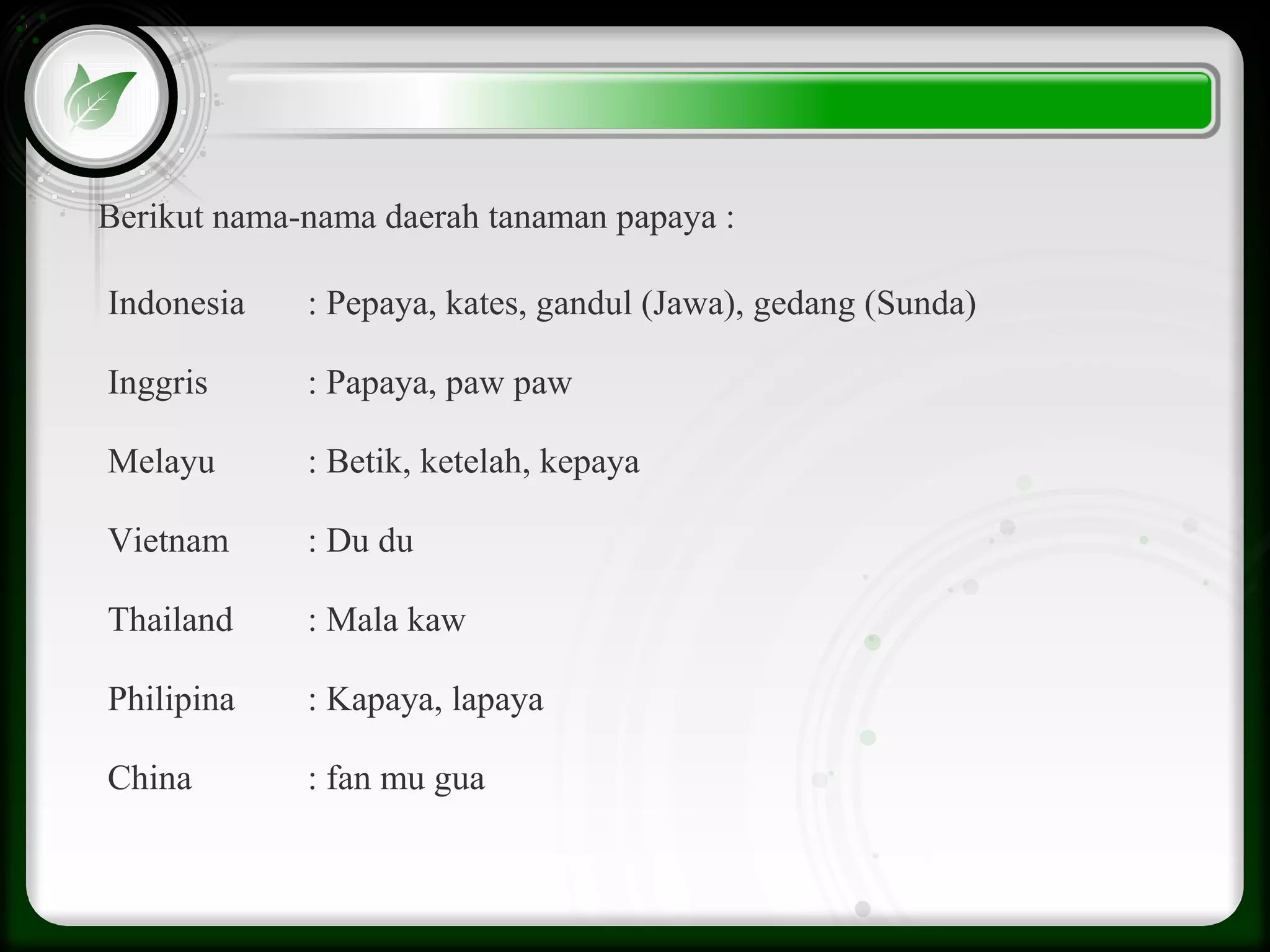 Morfologi tanaman pepaya ppt | PPT
