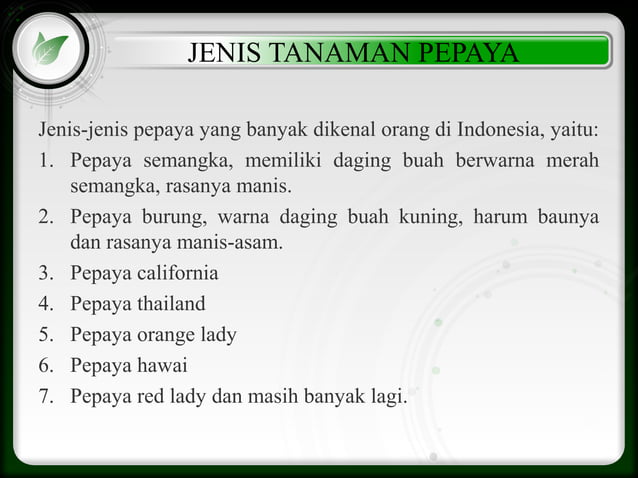 Morfologi tanaman pepaya ppt | PPT