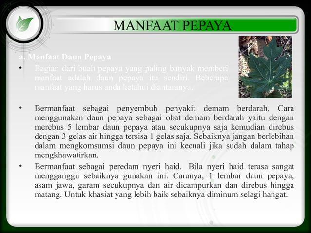 Morfologi tanaman pepaya ppt | PPT