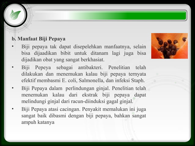 Morfologi tanaman pepaya ppt | PPT