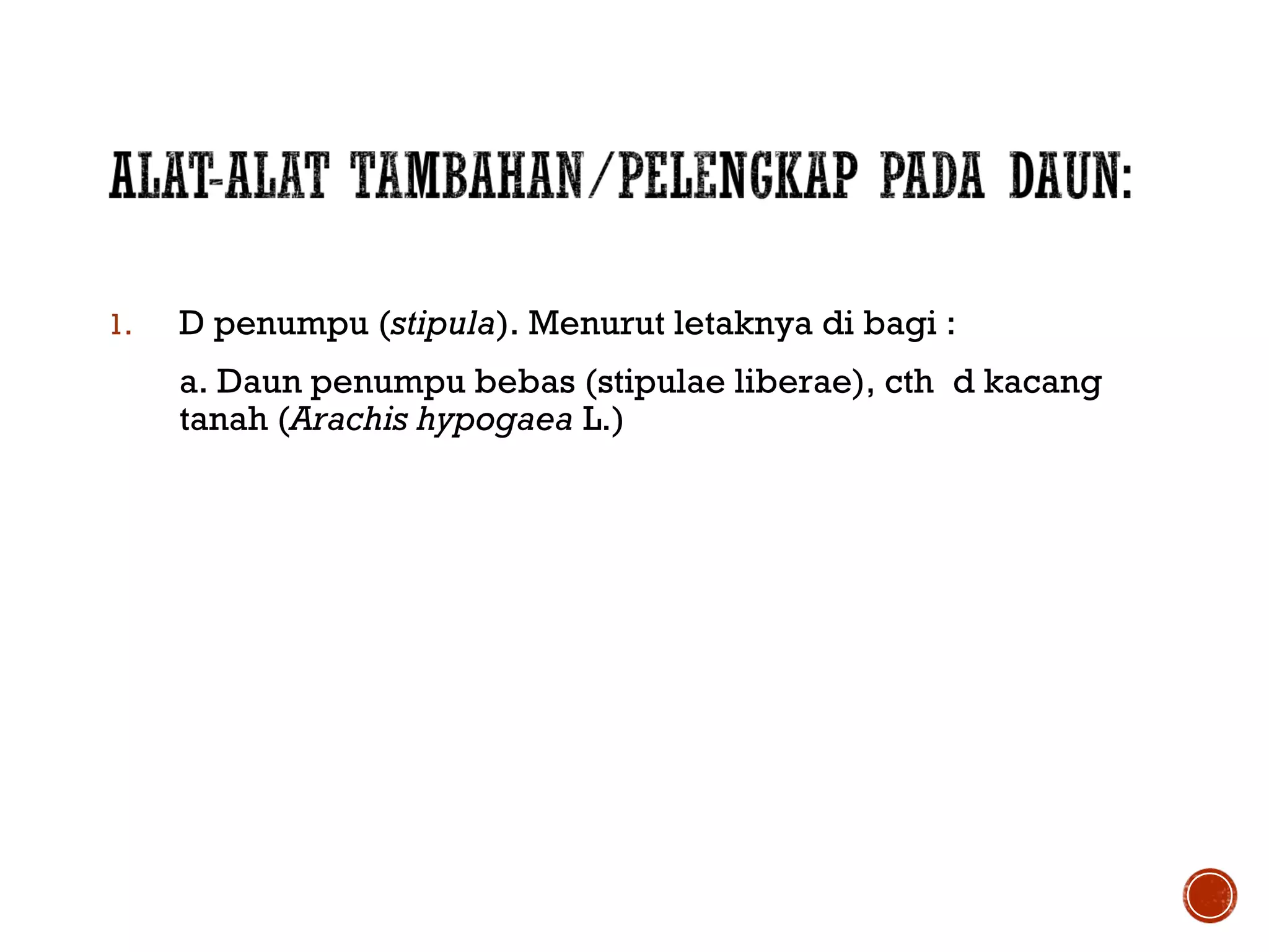 Morfologi tumbuhan (Plant morphology) | PPT