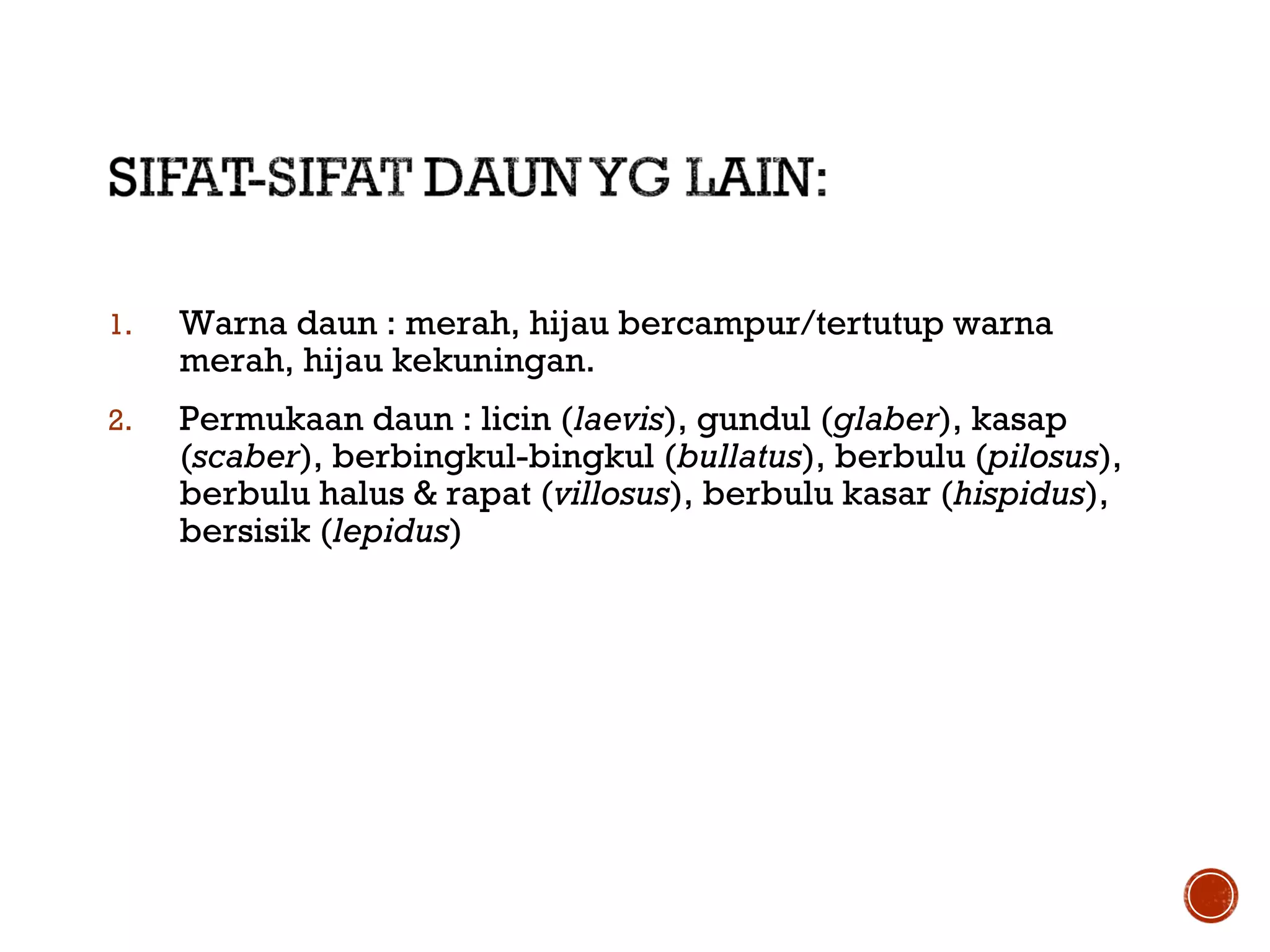 Morfologi tumbuhan (Plant morphology) | PPT