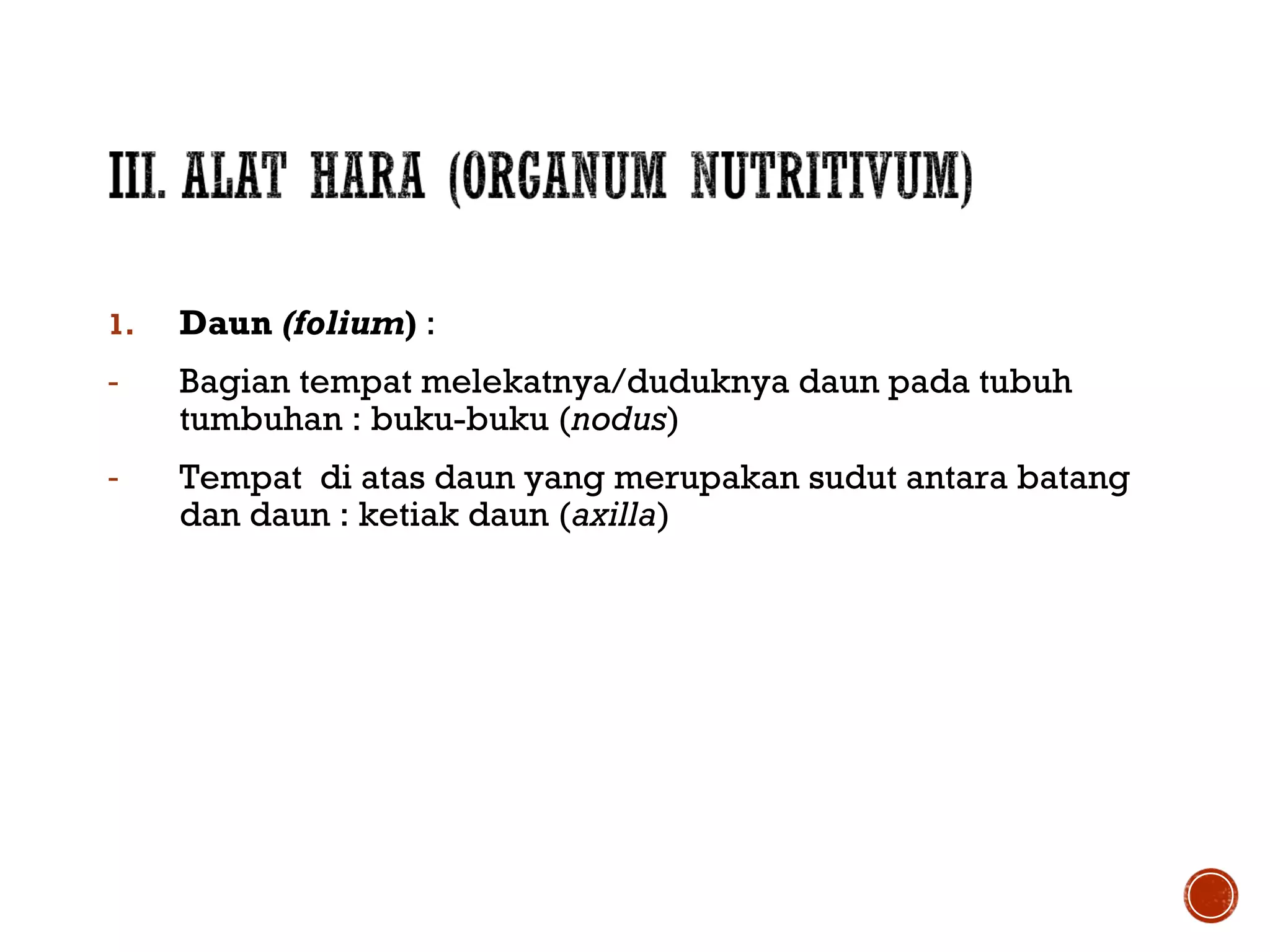 Morfologi tumbuhan (Plant morphology) | PPT