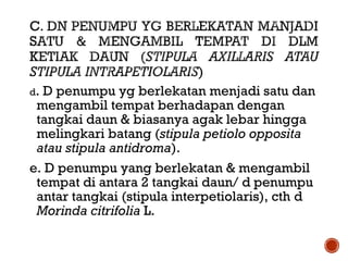 Morfologi tumbuhan (Plant morphology) | PPT