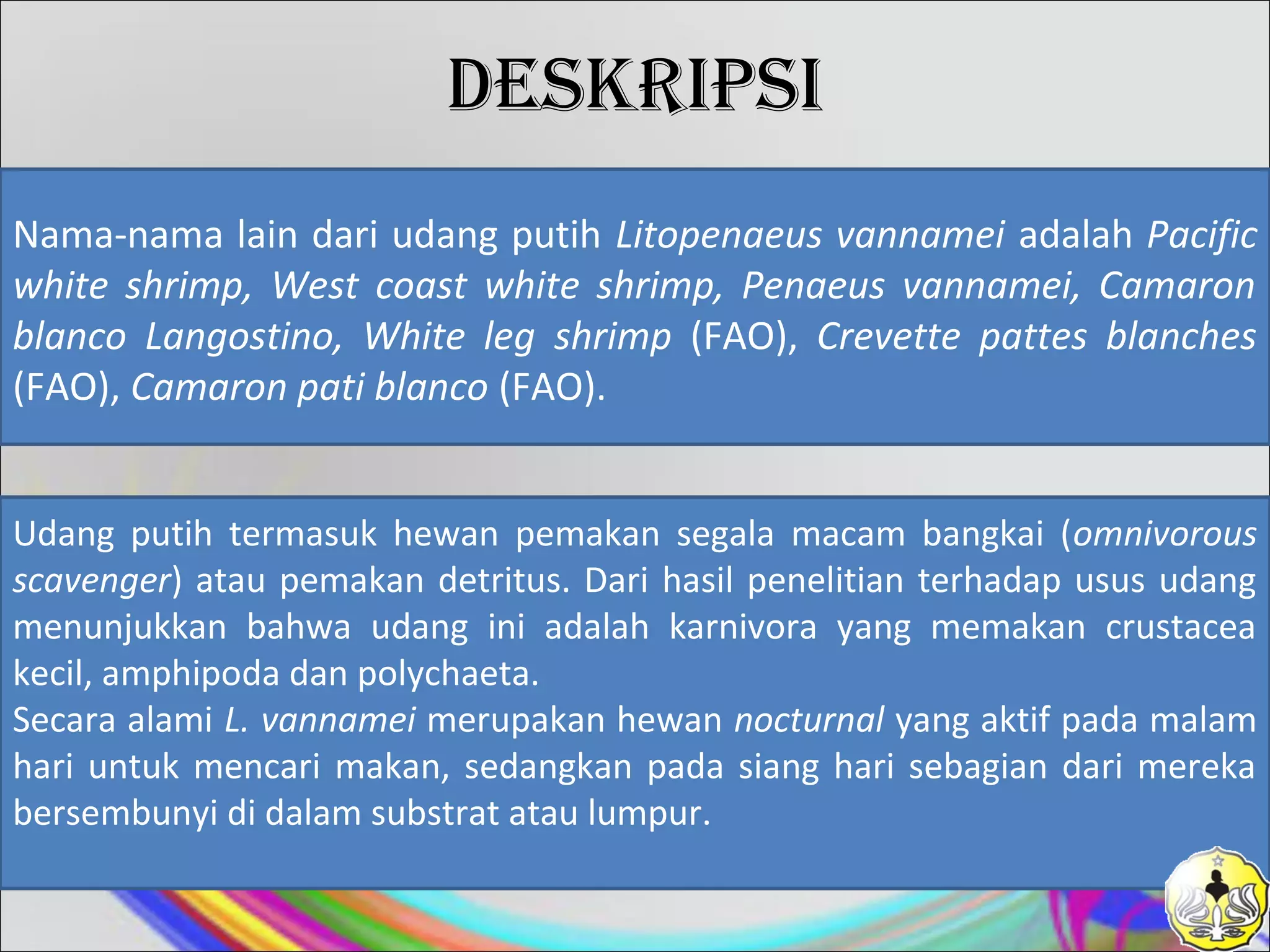 Morfologi udang 021012 | PPT
