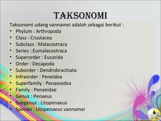 Morfologi udang 021012 | PPT
