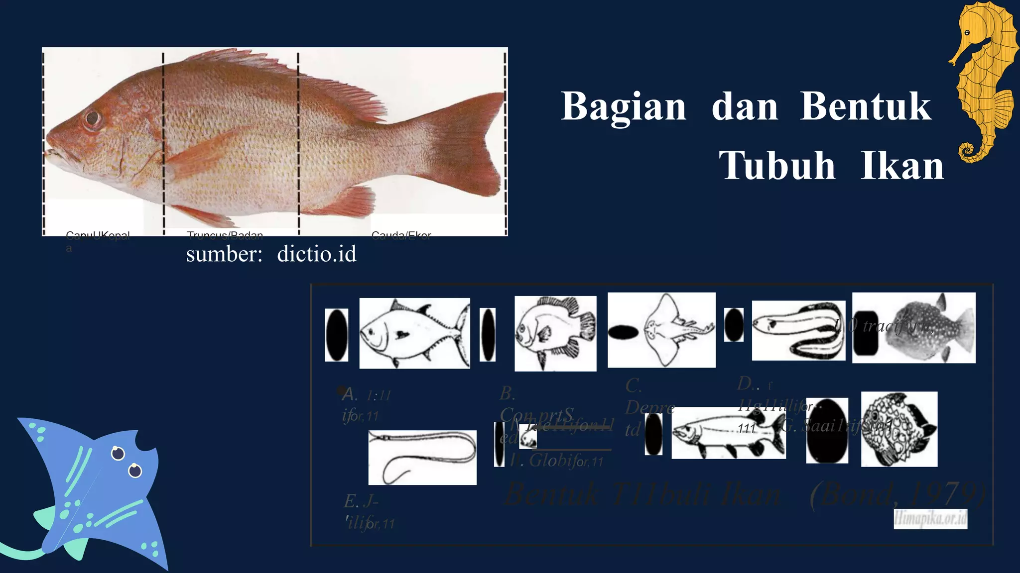 Morfometrik dan Meristik Ikan.pptx