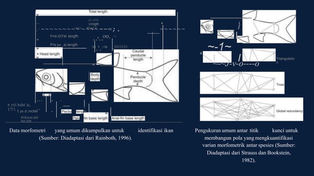 Morfometrik dan Meristik Ikan.pptx