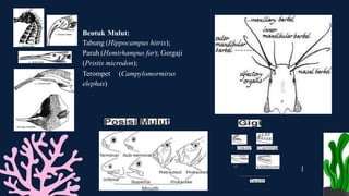 Morfometrik dan Meristik Ikan.pptx