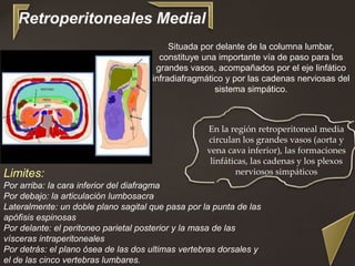 Región Retroperitoneal Media y Latera | PPTX