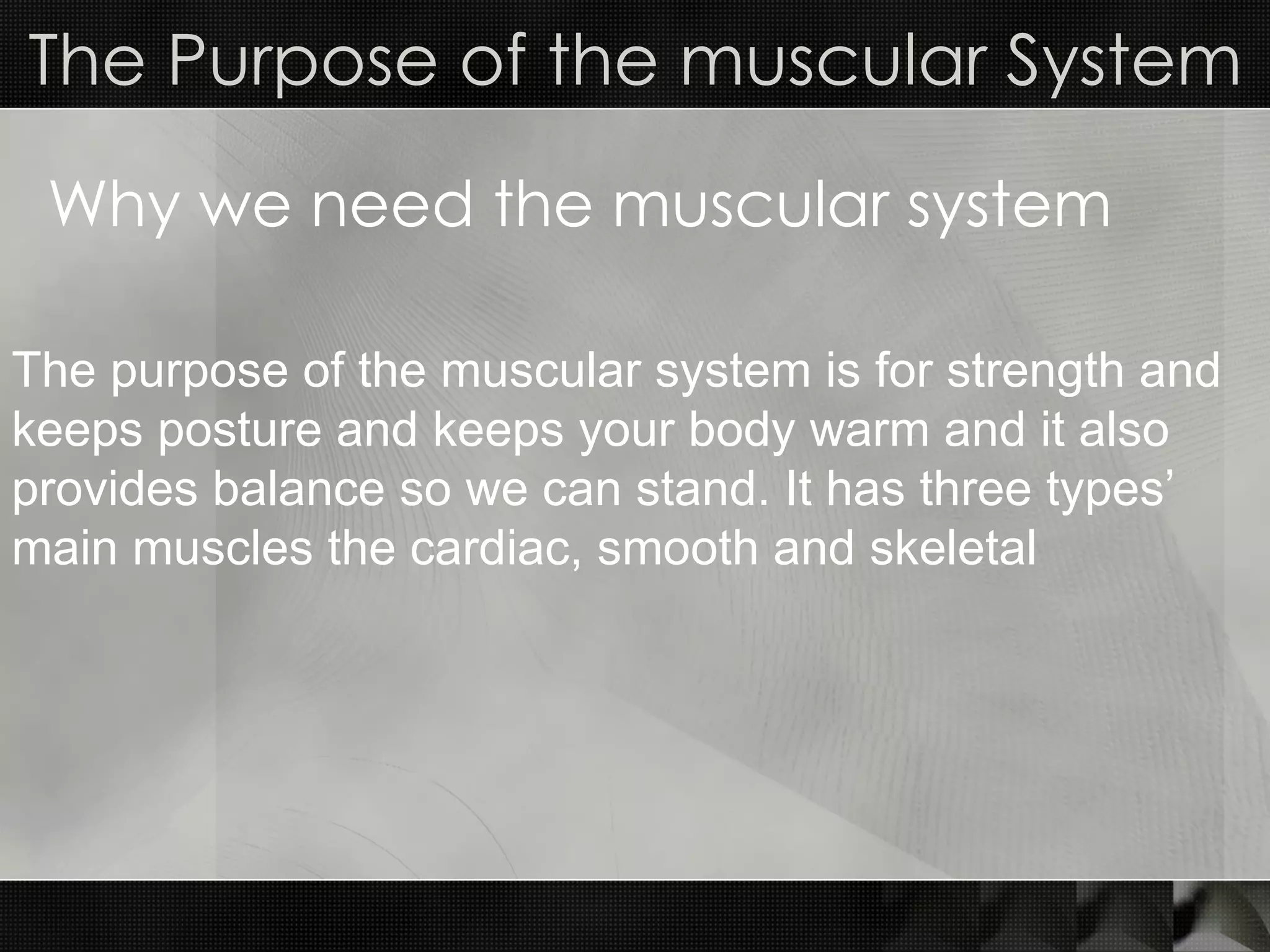 The Muscular System | PPT