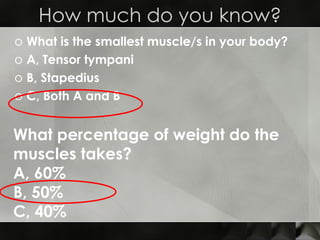 The Muscular System | PPT