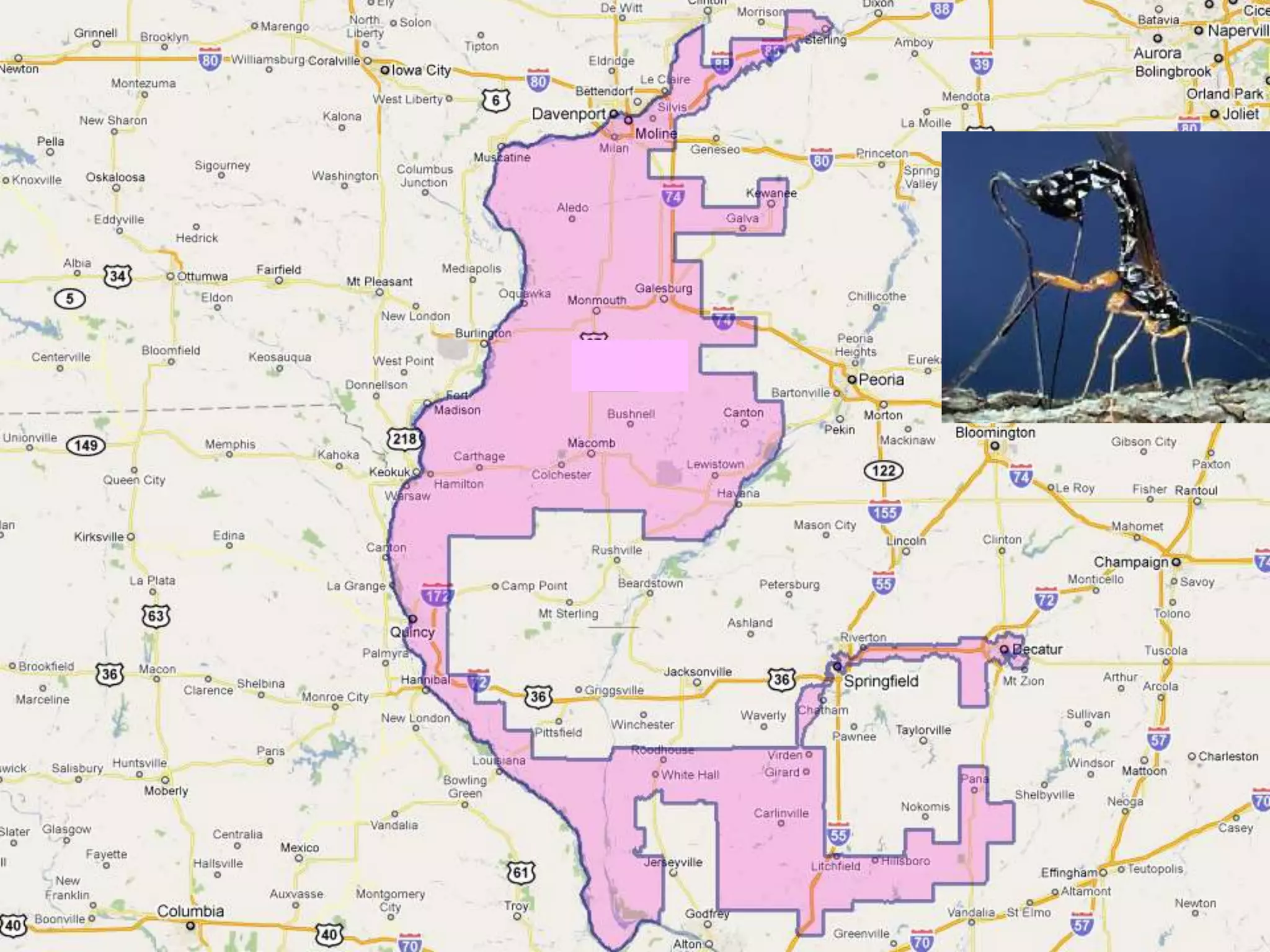 Redistricting, Reapportionment and Reform | PPT
