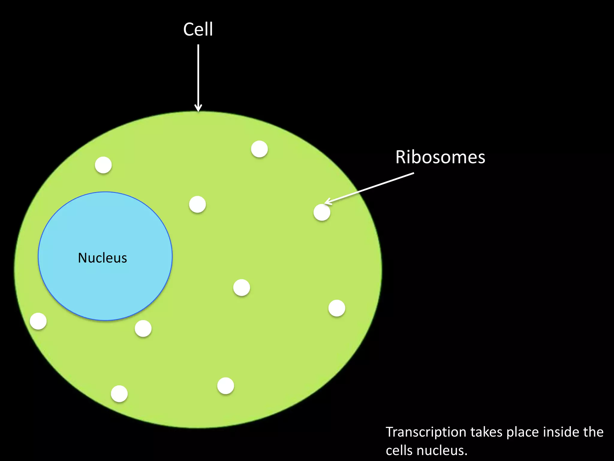 Morgan doverspike flip book powerpoint | PPT