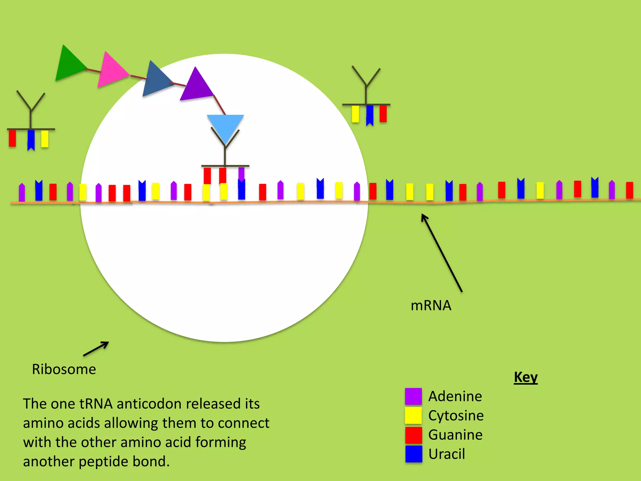 Morgan doverspike flip book powerpoint | PPT