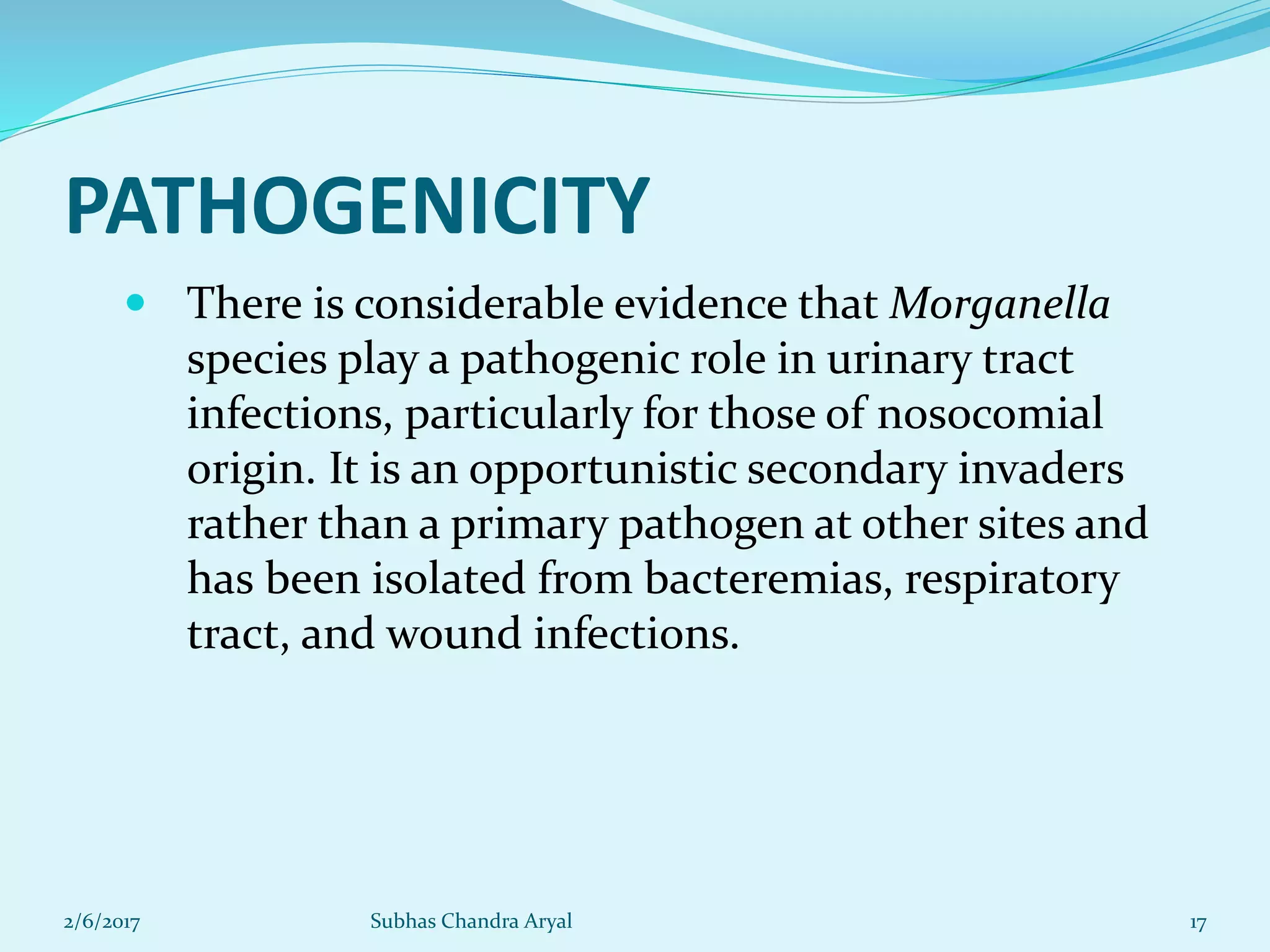 About Morganella species | PDF