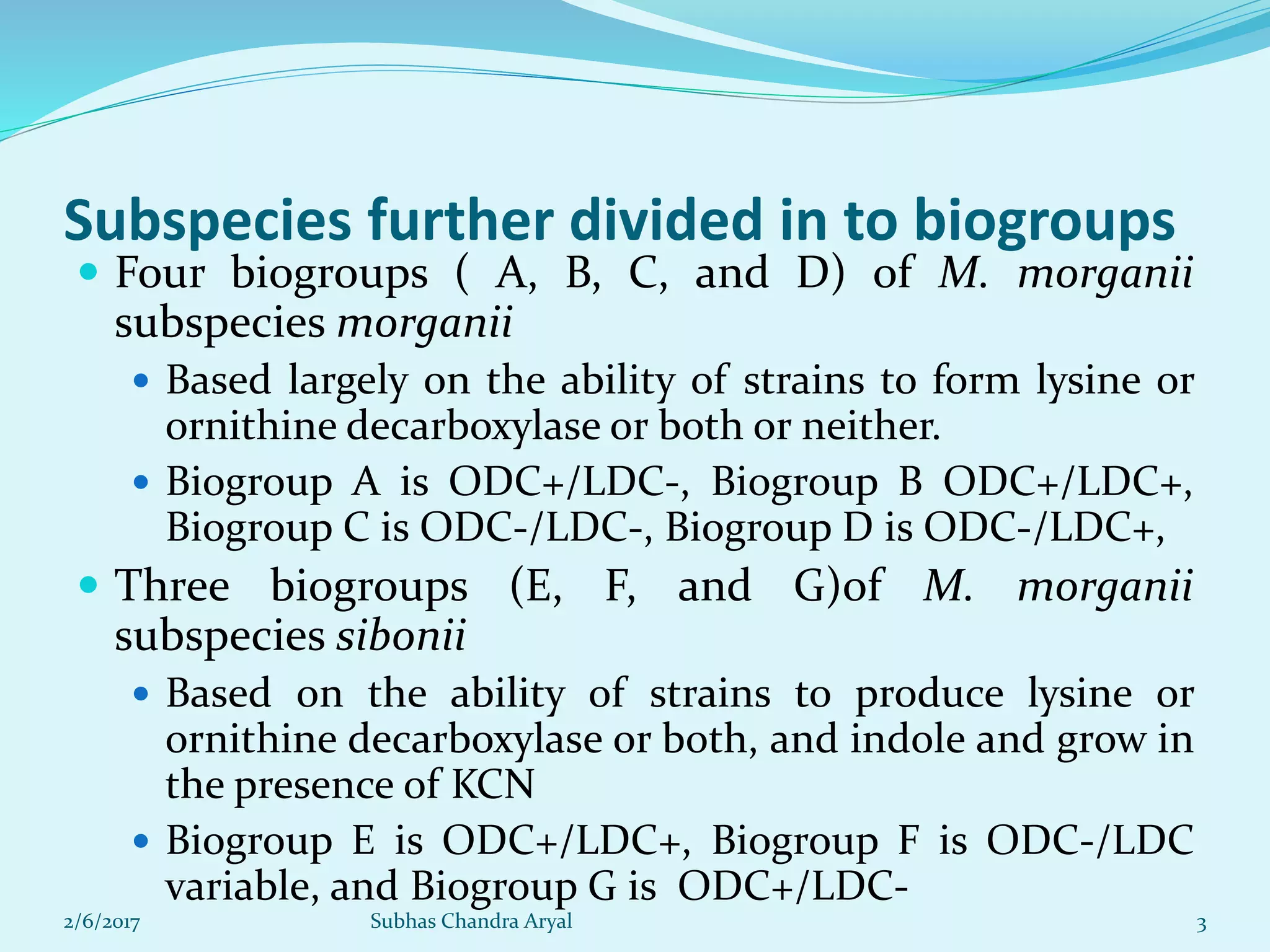 About Morganella species | PDF