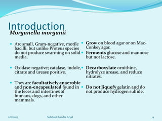About Morganella species | PDF