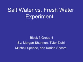 Morgan Shannon Salt Vs. Fresh | PPT | Chemistry | Science