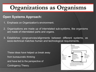 Morgans organizations as organisms | PPTX