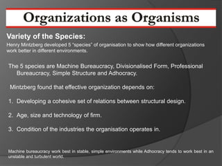 Morgans organizations as organisms | PPTX