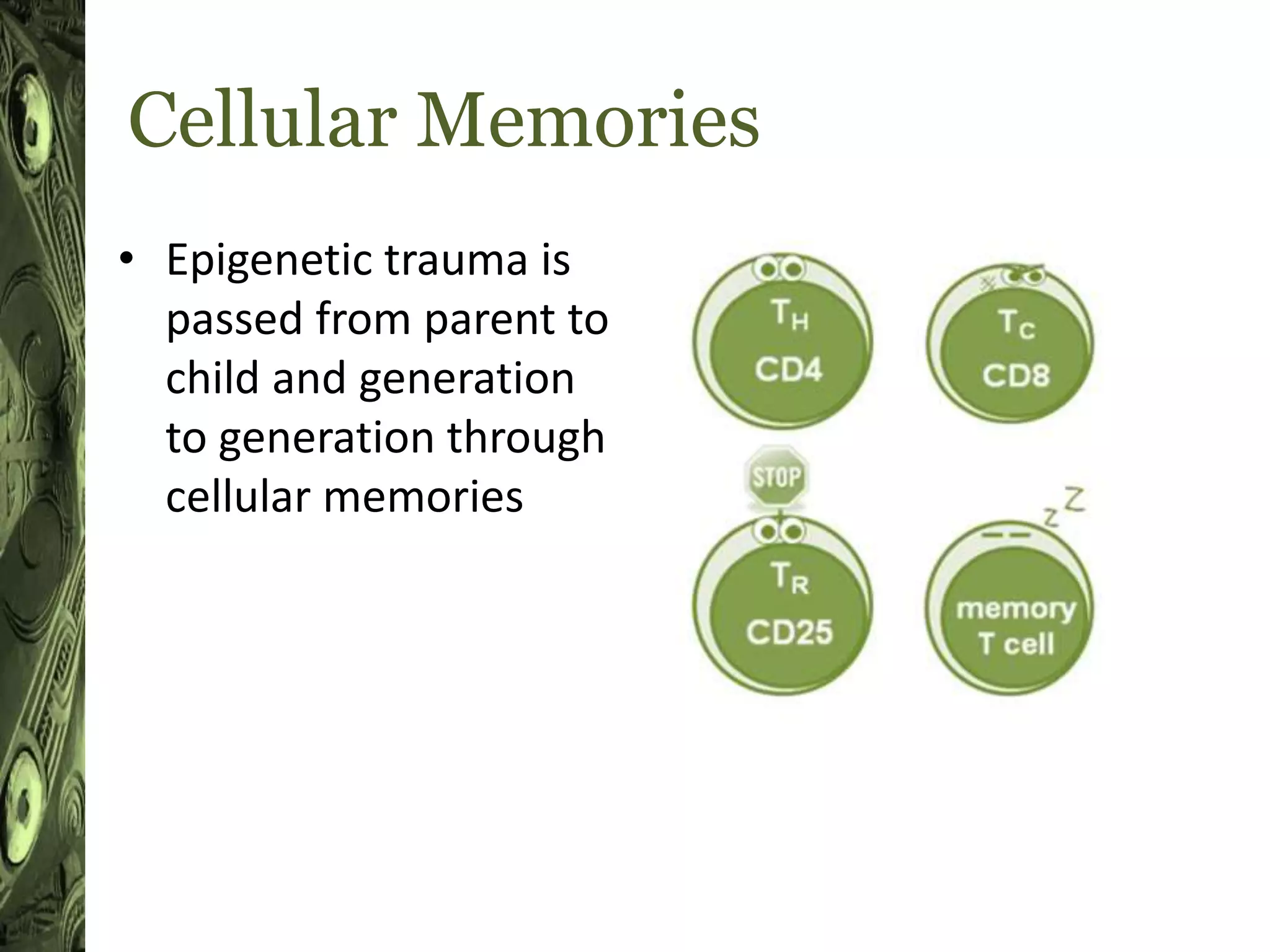 Māori experiences of historical intergenerational trauma | PPTX