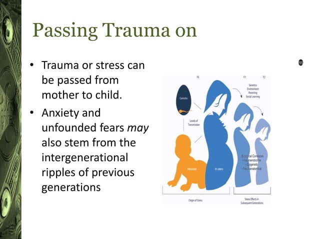 Māori experiences of historical intergenerational trauma | PPTX