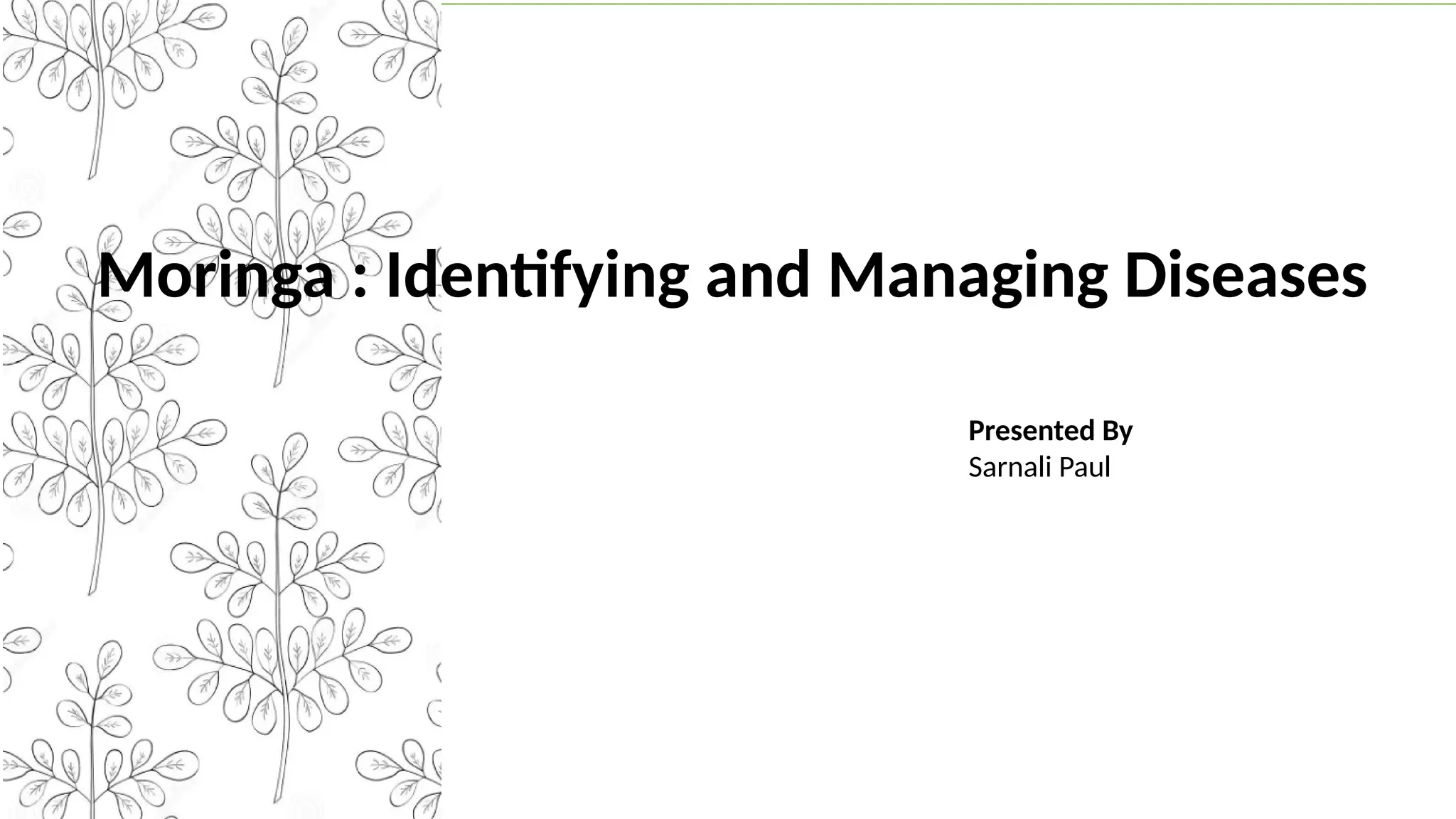 Moringa : Identifying and Managing Diseases | PPTX