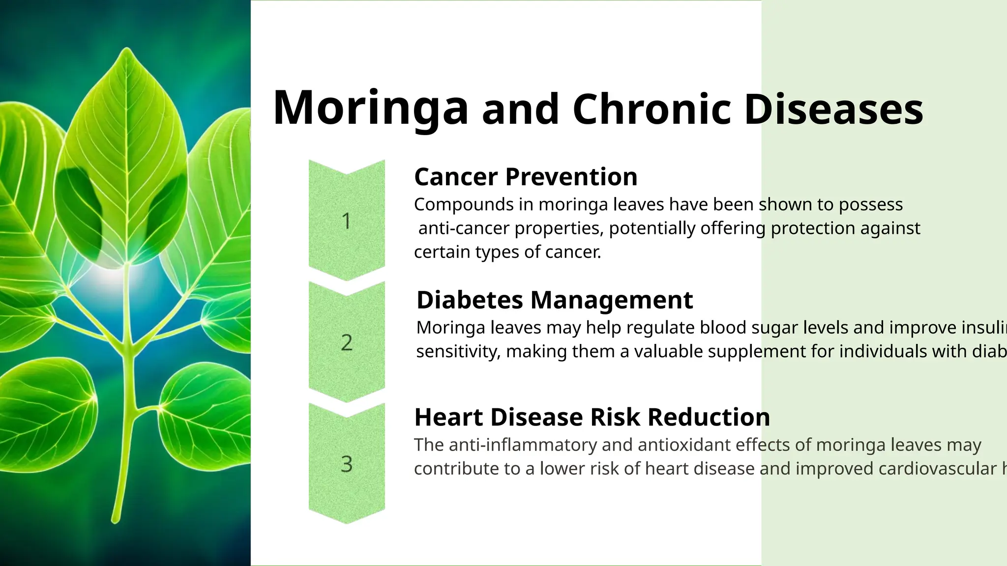 Moringa : Identifying and Managing Diseases | PPTX