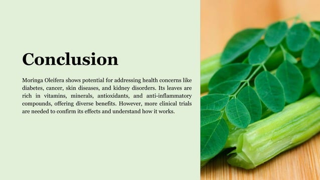 Moringa : Identifying and Managing Diseases | PPT