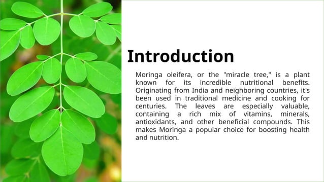 Moringa : Identifying and Managing Diseases | PPT
