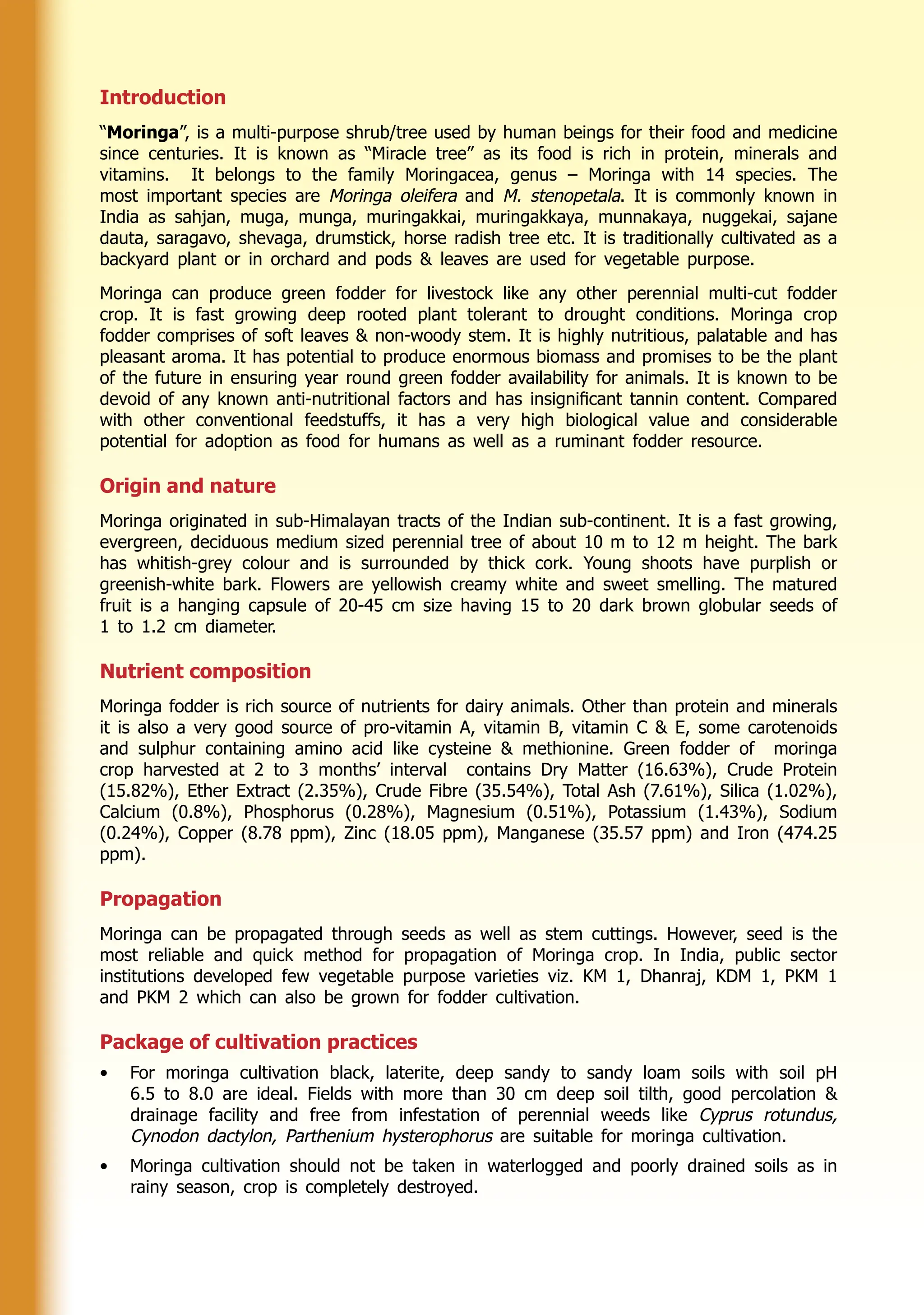 moringa-oleifera-english cultivation in india | PDF