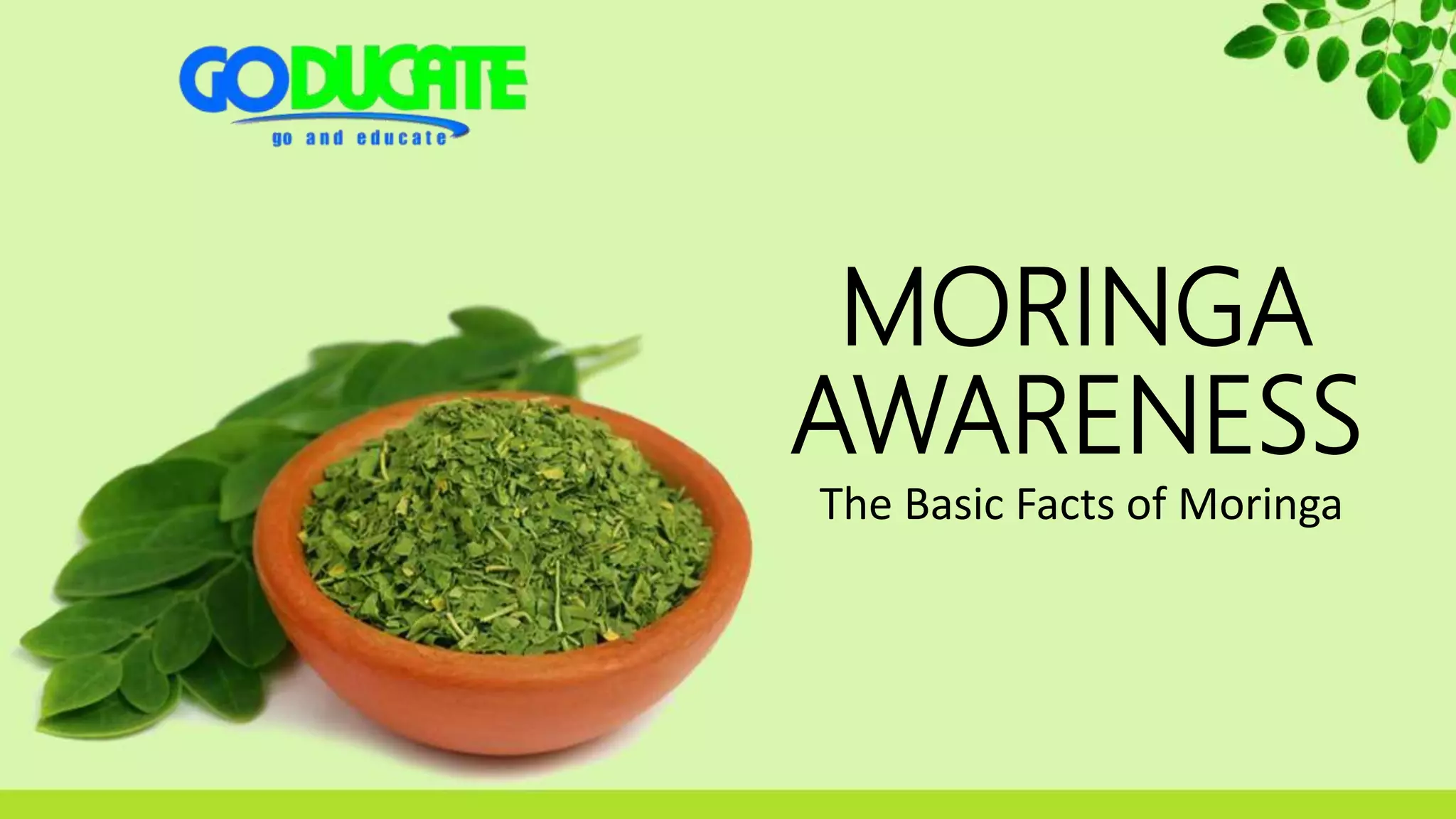 Moringa benefits & powder making | PPTX