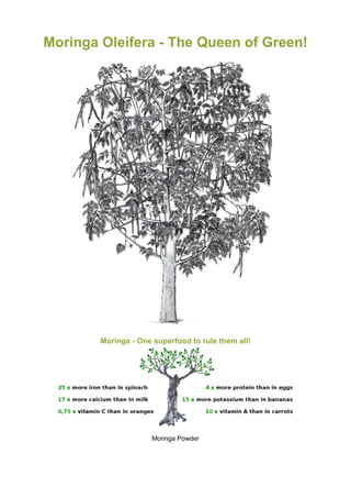 Malunggay Tree Drawing