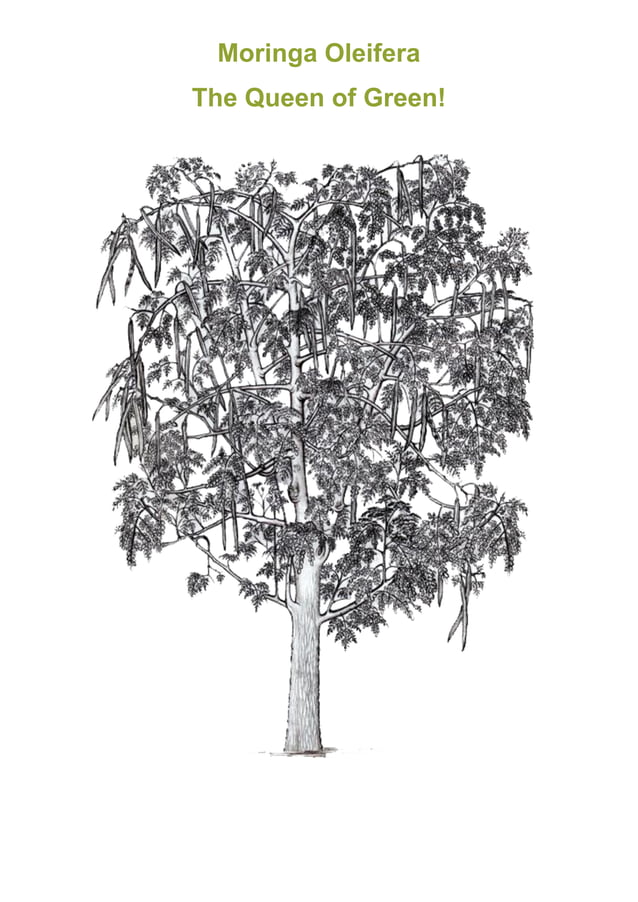 Moringa book | PDF
