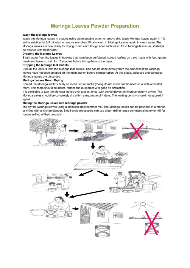 Moringa book | PDF