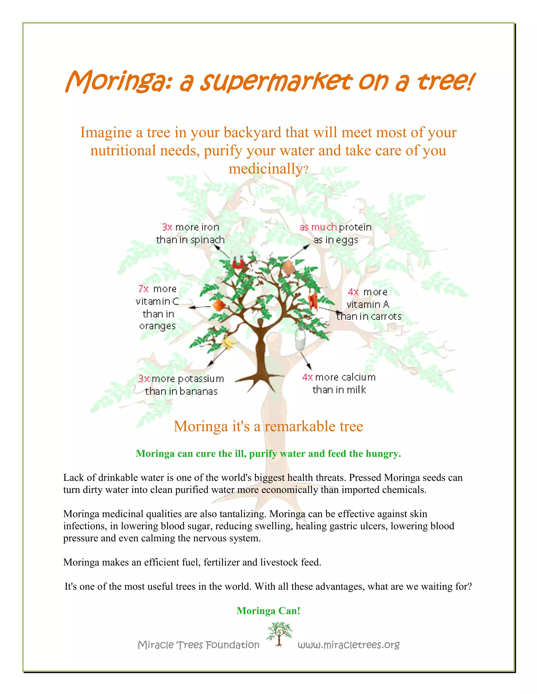 Moringa book1 | PDF