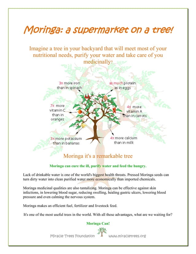 Moringa book1 | PDF