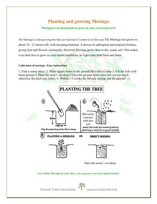 Moringa book1 | PDF