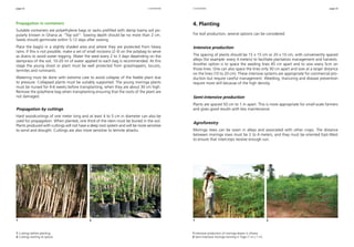 Moringa book growing_and_processing_moringa_leaves | PDF