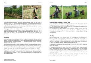 Moringa book growing_and_processing_moringa_leaves | PDF