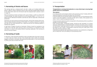 Moringa book growing_and_processing_moringa_leaves | PDF