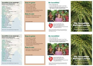 Moringa brochure 2up_a4 | PDF