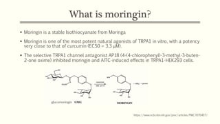 Food as Medicine: Moringa, the Miracle Tree | PPT